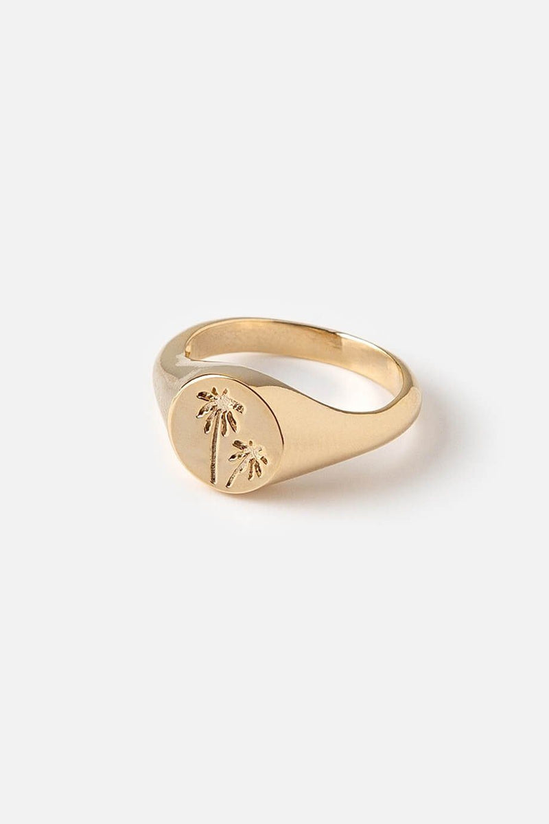 Palm Tree Signet Ring – Online Store